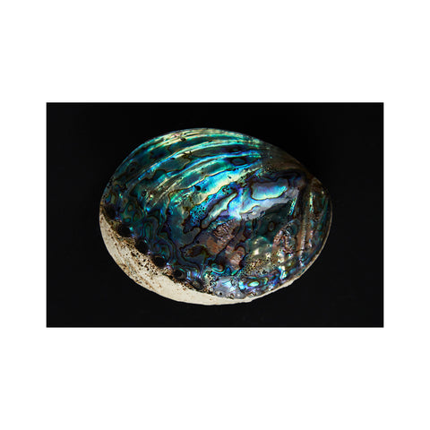 RYAN STORER | Australian Jewellery Designer | Online Shop – ryanstorer